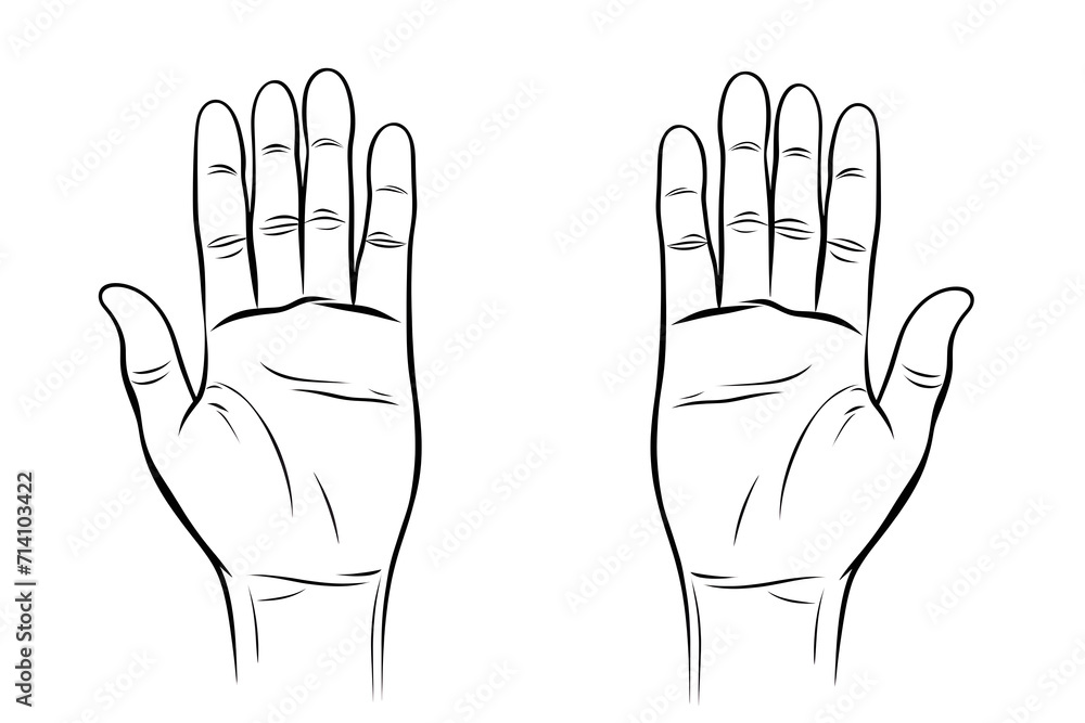 Vector line drawing illustration of two hands with open palms Stock ...