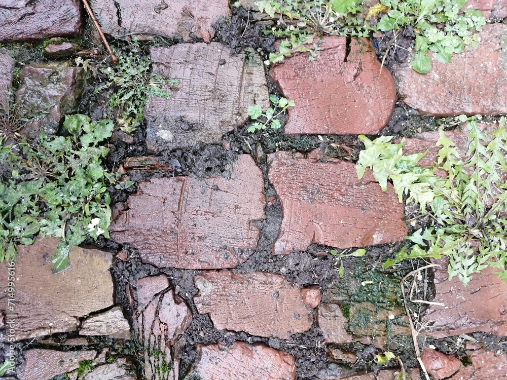 A path or playground made of red crushed old bricks. Grass and other ...
