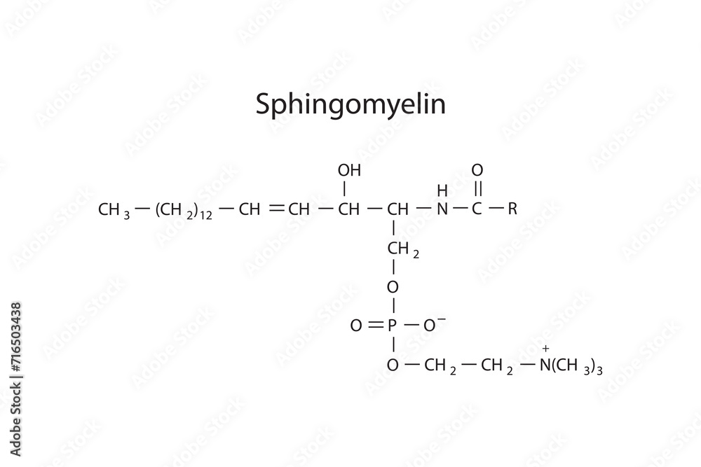 Schematic molecular structure of sphingomyelin molecule. Blue ...