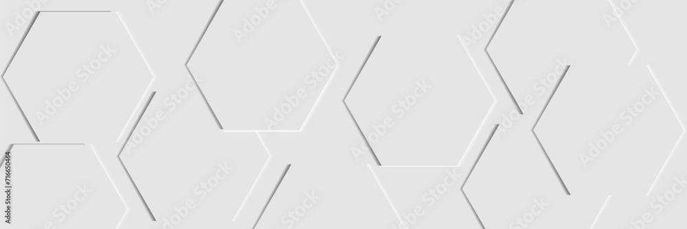 Modern abstract white hexagon shape background. Elegant overlay pattern ...