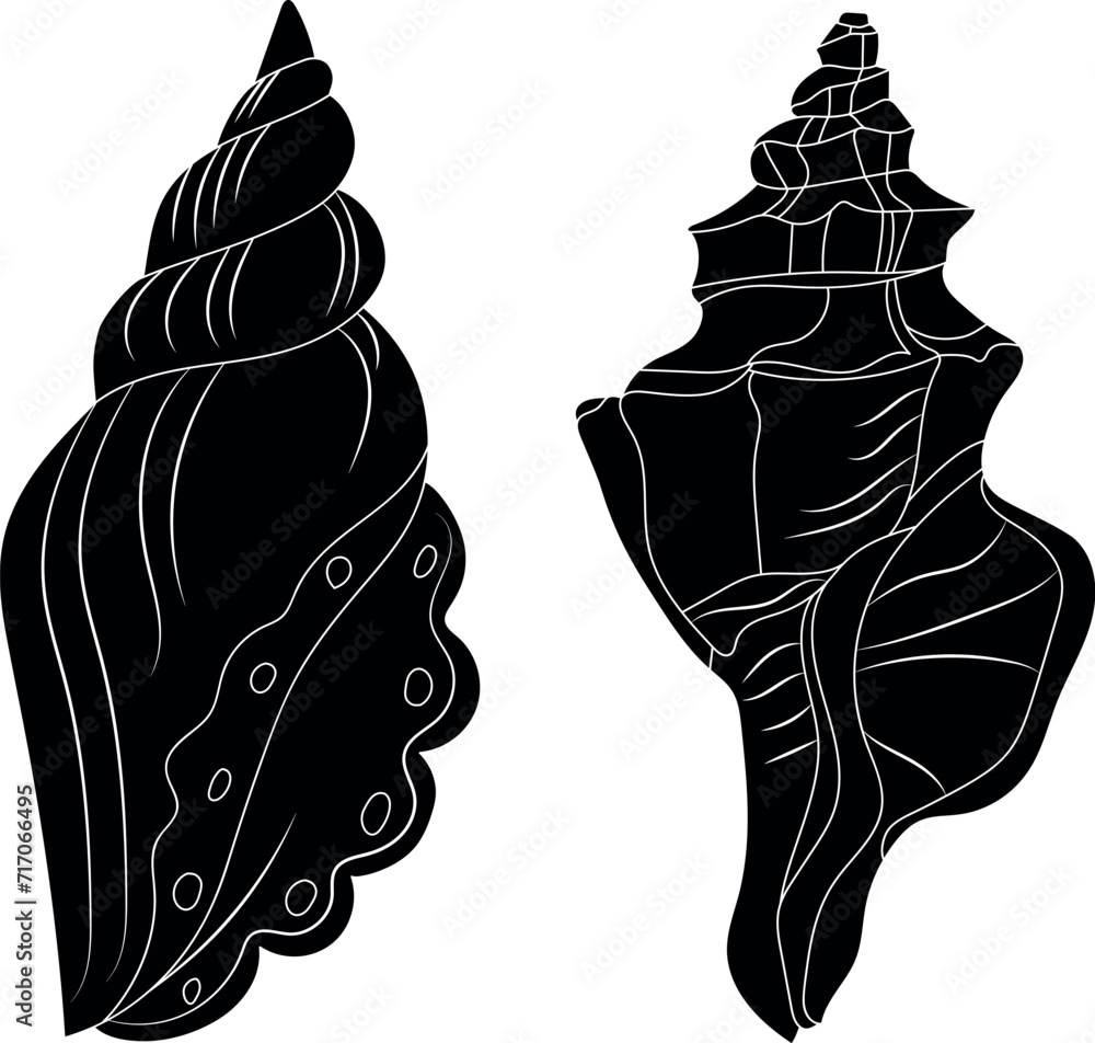 Seashells vector set. Hand drawn illustrations of engraved line ...