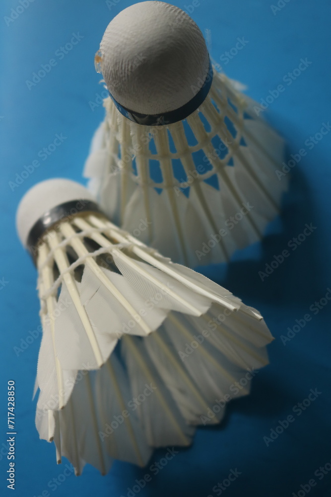 Photo Stock The badminton shuttlecocks used by badminton players are ...