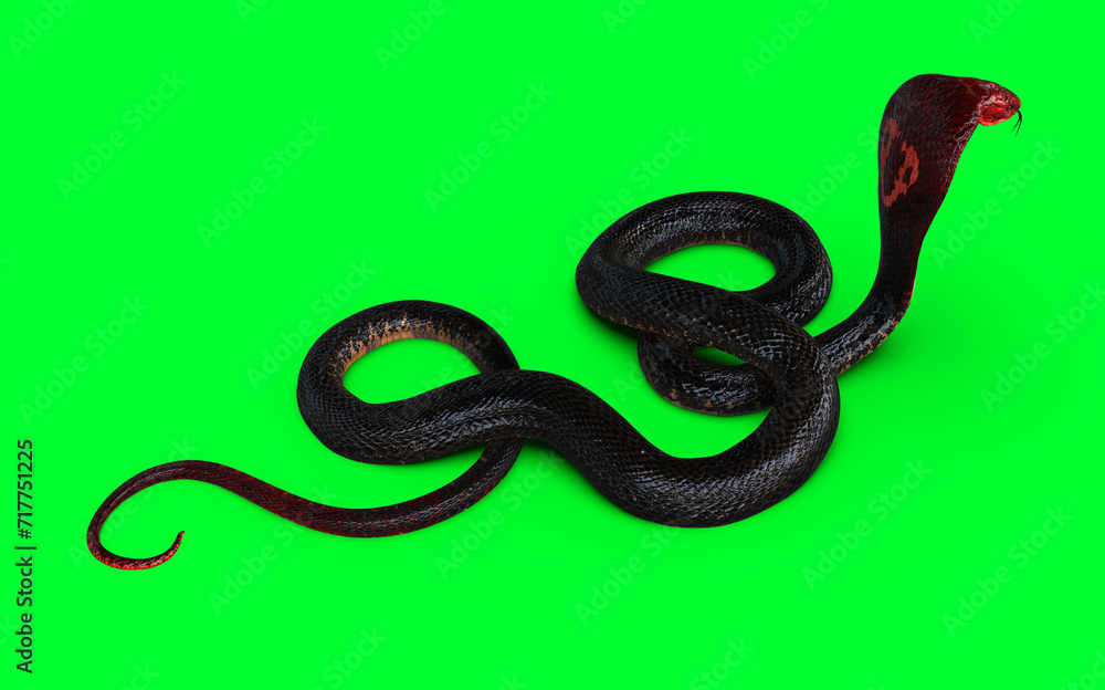 3d Illustration Red Head and Red tail of King Cobra the World's Longest ...