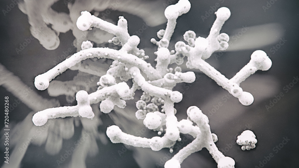 Stock-Foto „Bacteria, fungi, mold, and yeast on a dark background ...