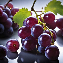 Vineyard At Georgia, USA Free Stock Photo - Public Domain Pictures