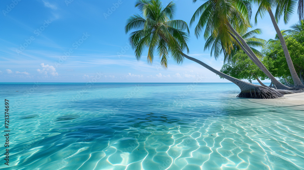 Tropical paradise zoom background with palm trees and crystal-clear ...