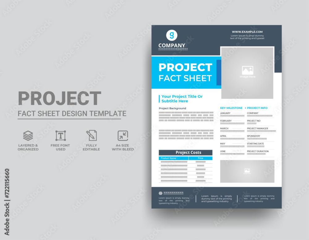 Project Fact Sheet template design Stock Vector | Adobe Stock