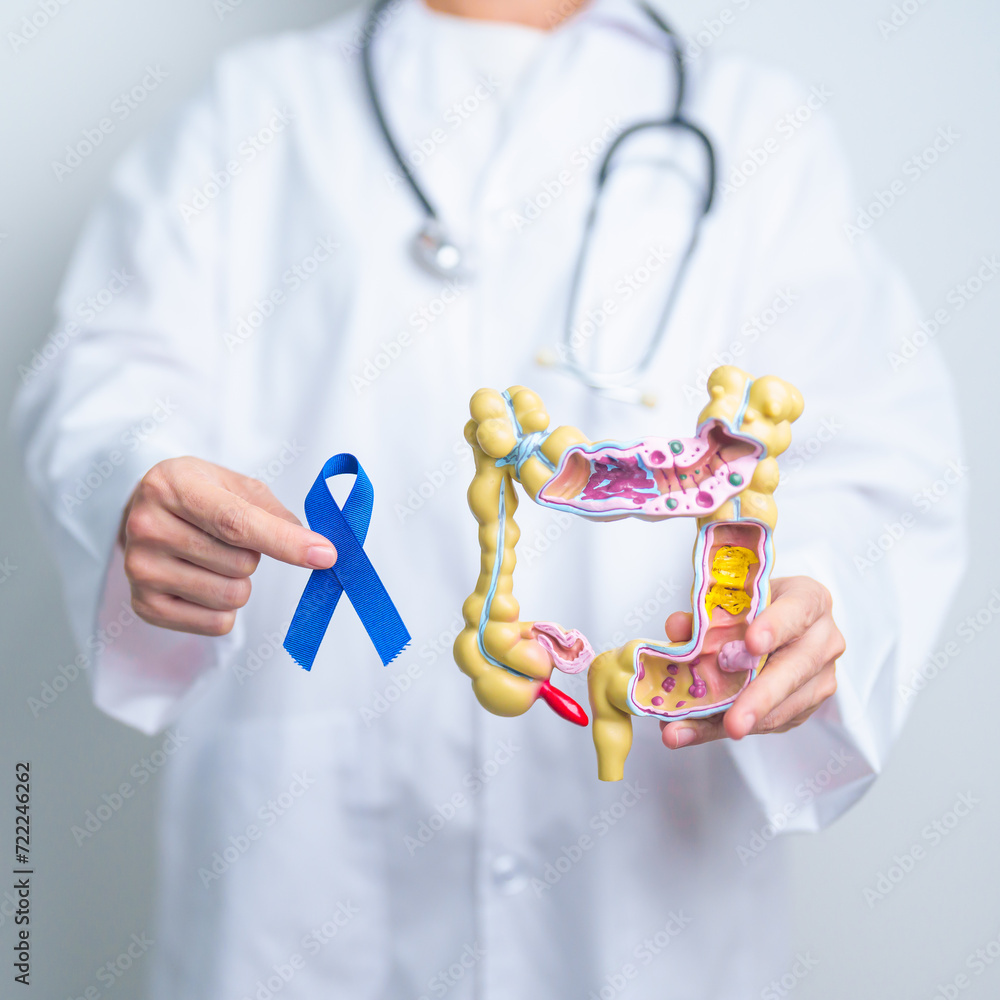 Doctor holding Blue ribbon with human Colon anatomy model. March ...