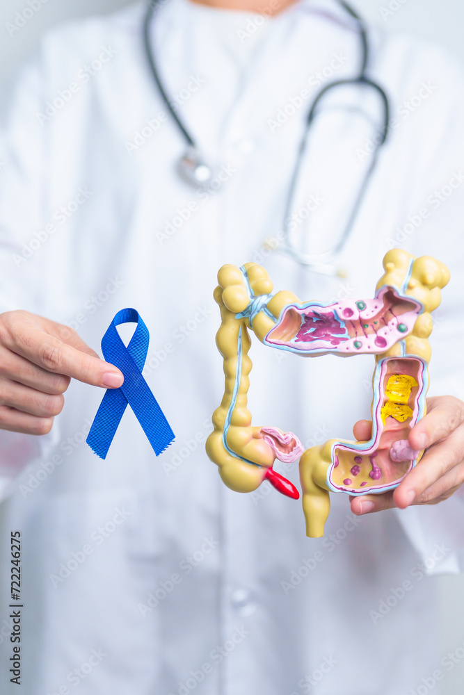 Doctor holding Blue ribbon with human Colon anatomy model. March ...
