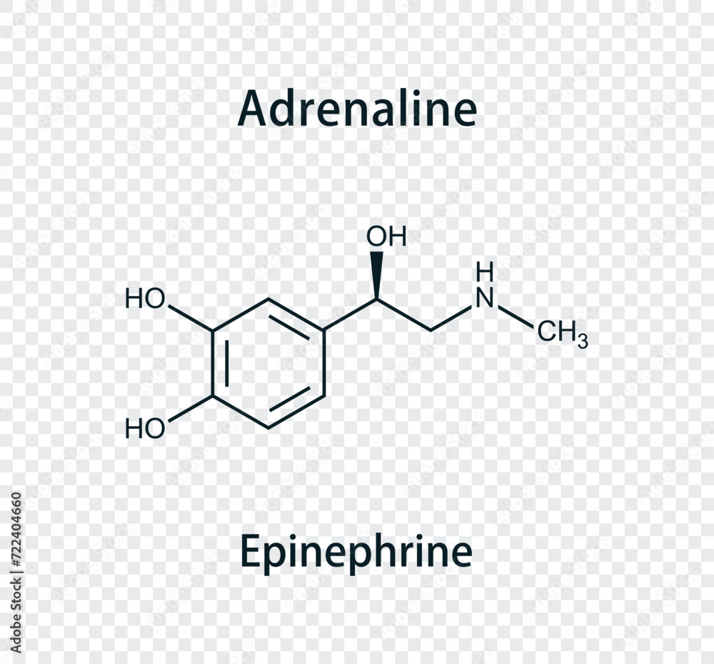 Adrenaline (Epinephrine) chemical structure vector illustration ...