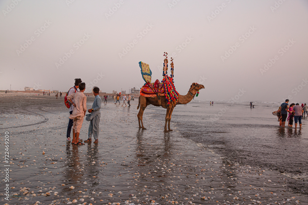 Local people with camel and tourists in Clifton beach in Karachi ...