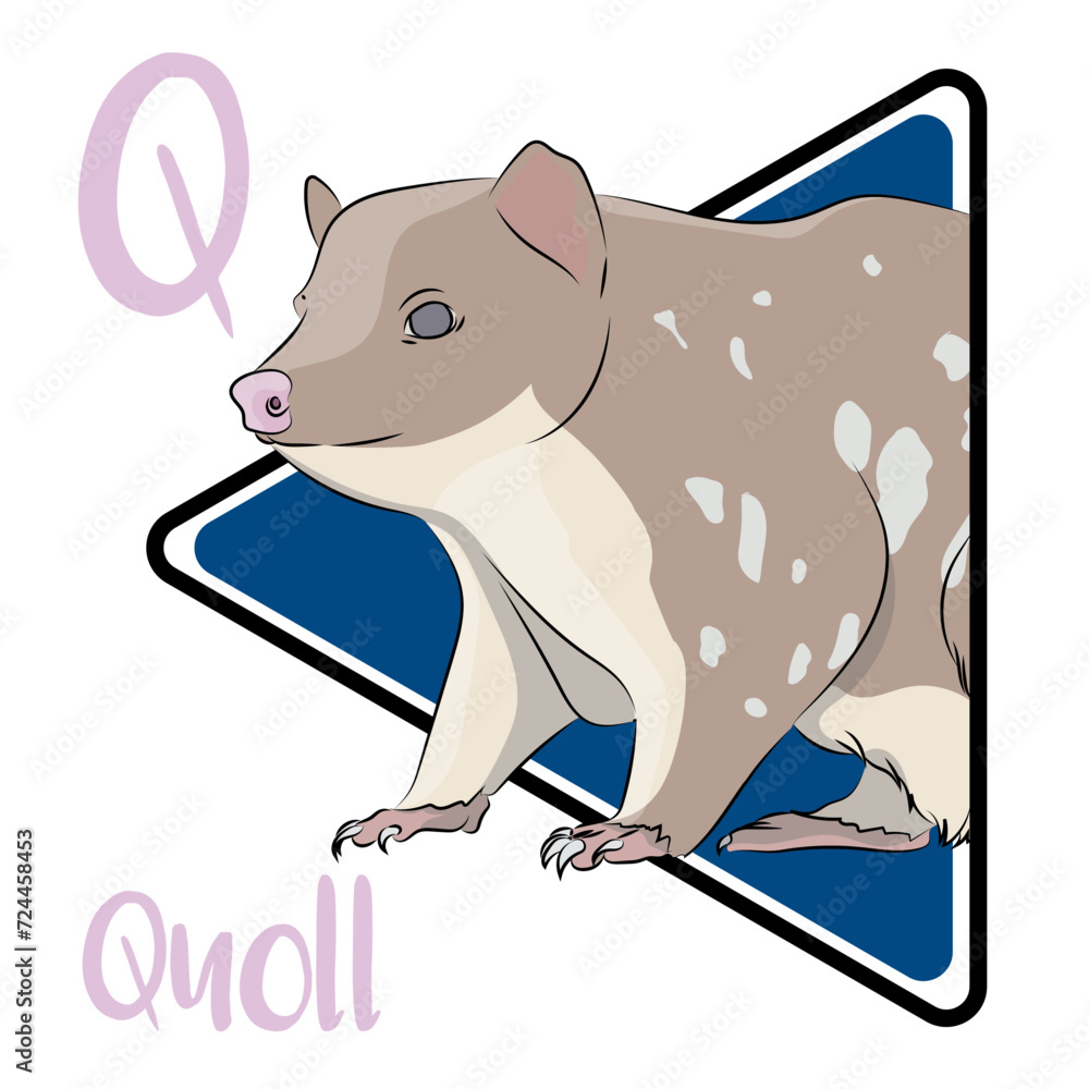 Quolls are tree-climbing, den-dwelling marsupials. Quolls eat smaller ...