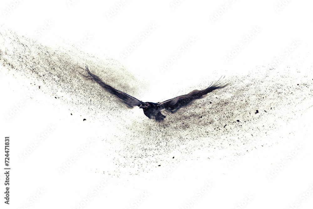 Flying raven. Abstract artistic nature. Dispersion, splatter effect ...