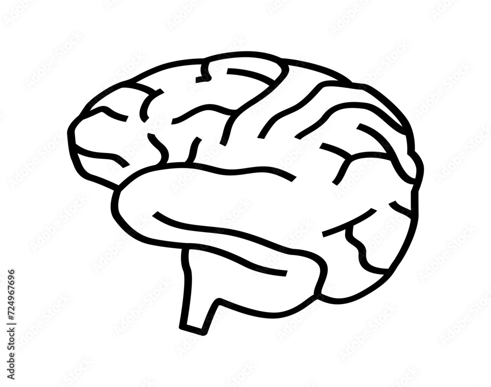 Brain with convolutions outline. Anatomical symbol of intelligence and ...