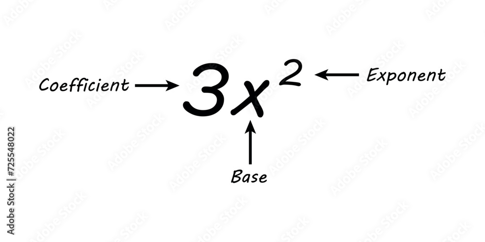 Vetor Parts of power of exponents in mathematics. Coefficient, base and ...
