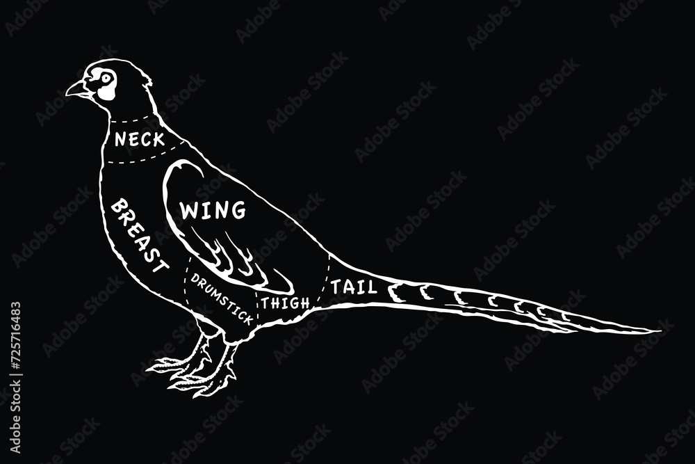Butcher diagram guide for cutting pheasant in black and white graphic ...