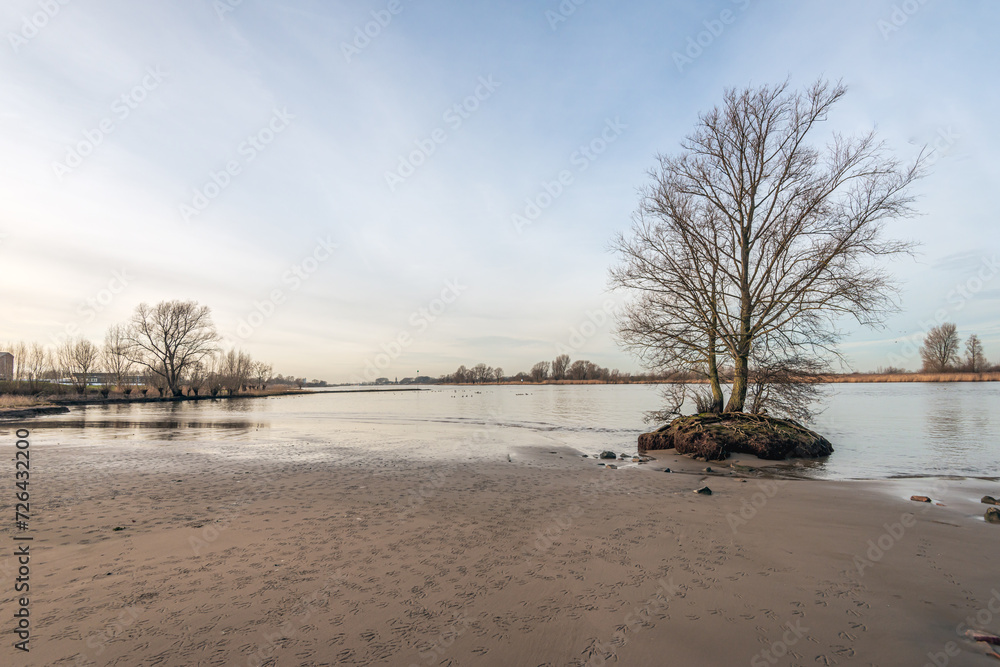 Stock-Foto „Sandy beach on a Dutch riverbank. Countless bird footprints ...