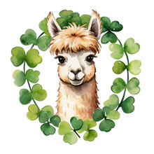 St. Patrick's Day Llama Free Stock Photo - Public Domain Pictures