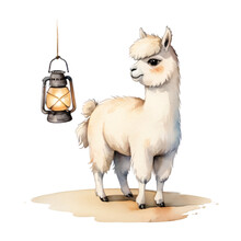 St. Patrick's Day Llama Free Stock Photo - Public Domain Pictures