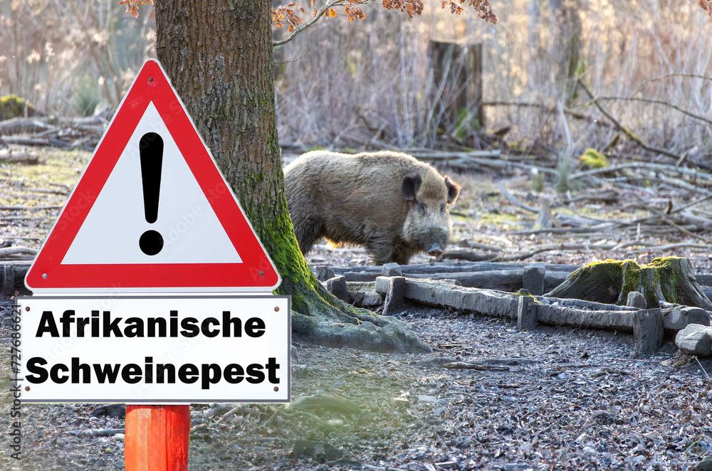 Sign with the inscription "Achtung Afrikanische Schweinepest ...