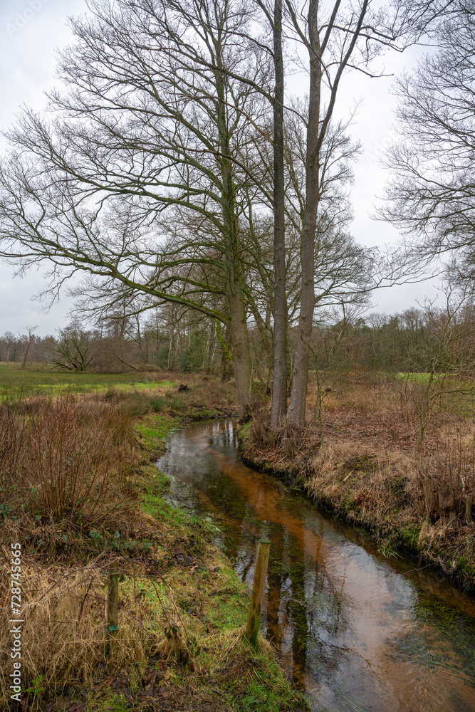 Little streem through Wisselse Veen near Epe in the Netherlands, a ...