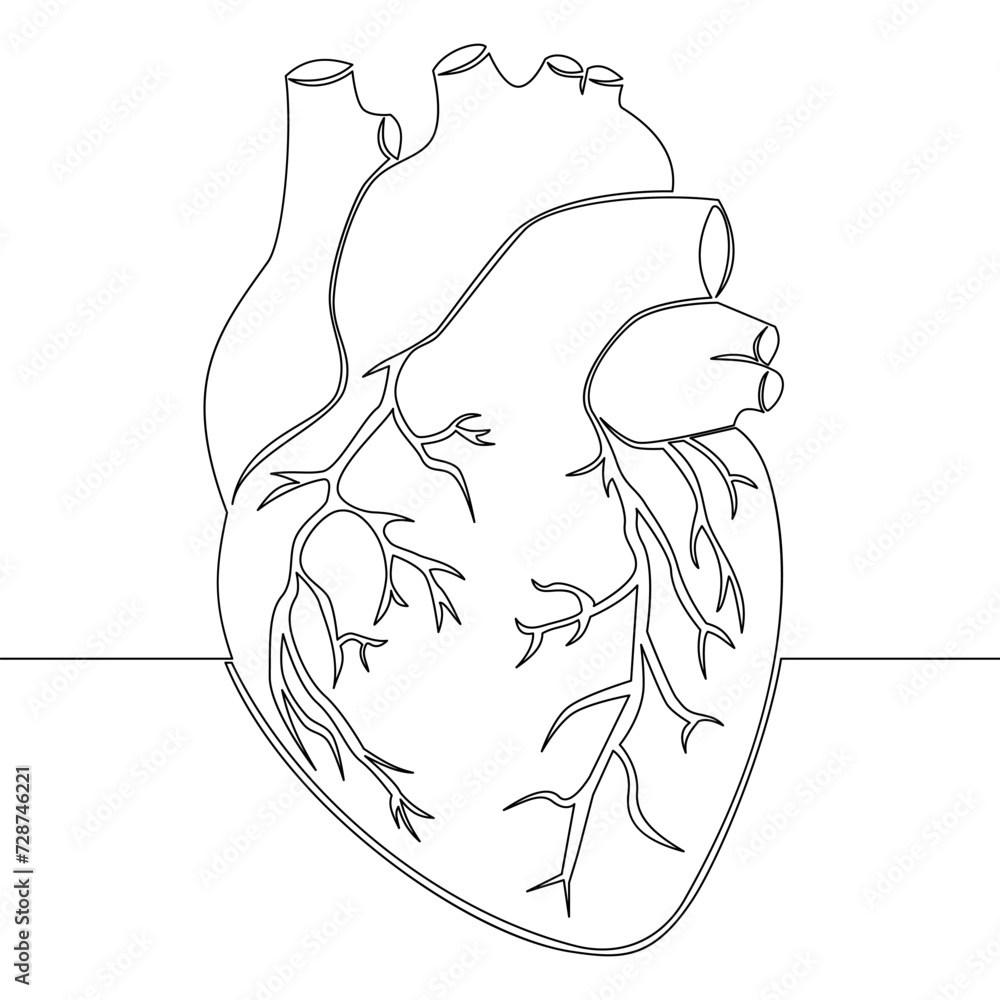 Continuous line drawing Realistic Human heart internal organ icon ...
