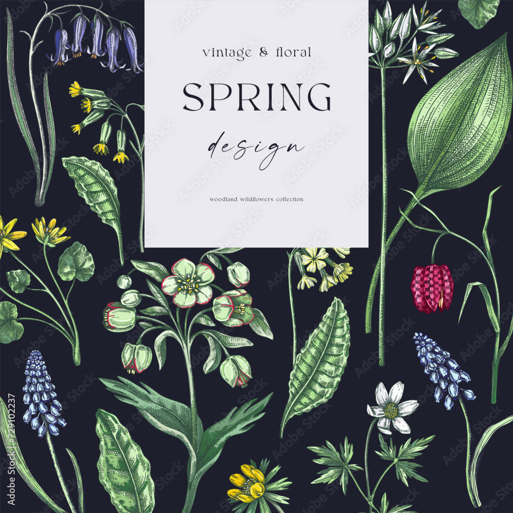 Elegant spring poster design. Wildflowers print in color. Woodland wild ...