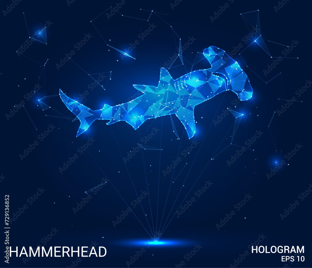 A hologram of a hammerhead fish. A hammerhead fish made of polygons ...
