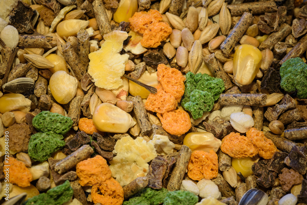 RODENT FOOD - Vegetable mixture and grain seeds and sunflowers seeds ...