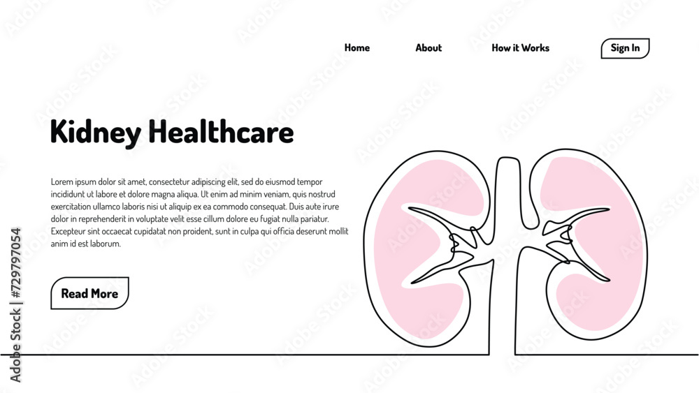 Human kidneys one line drawing. Continuous single hand drawn organs ...