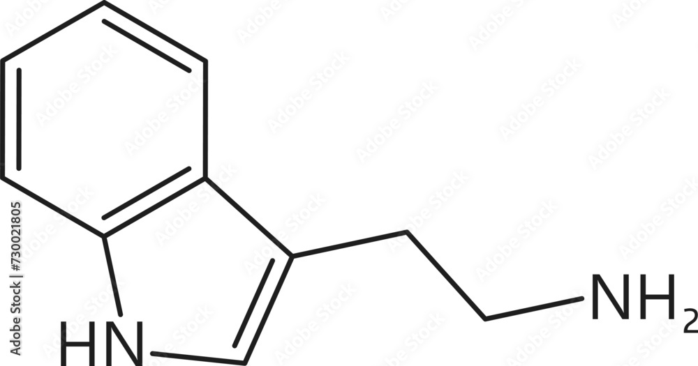 Neurotransmitter, Tryptamine chemical formula and molecule structure ...