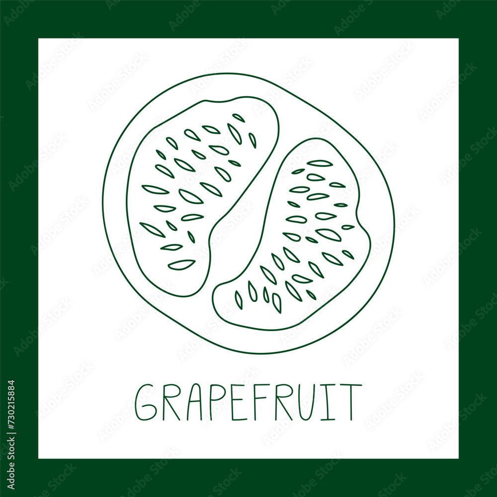 Grapefruit hand drawn vector line illustration. Healthy natural plant ...