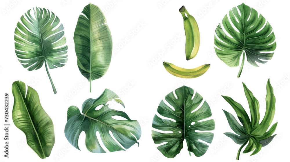 Vintage Watercolor Tropical leaves collection. palm leaf, monstera ...