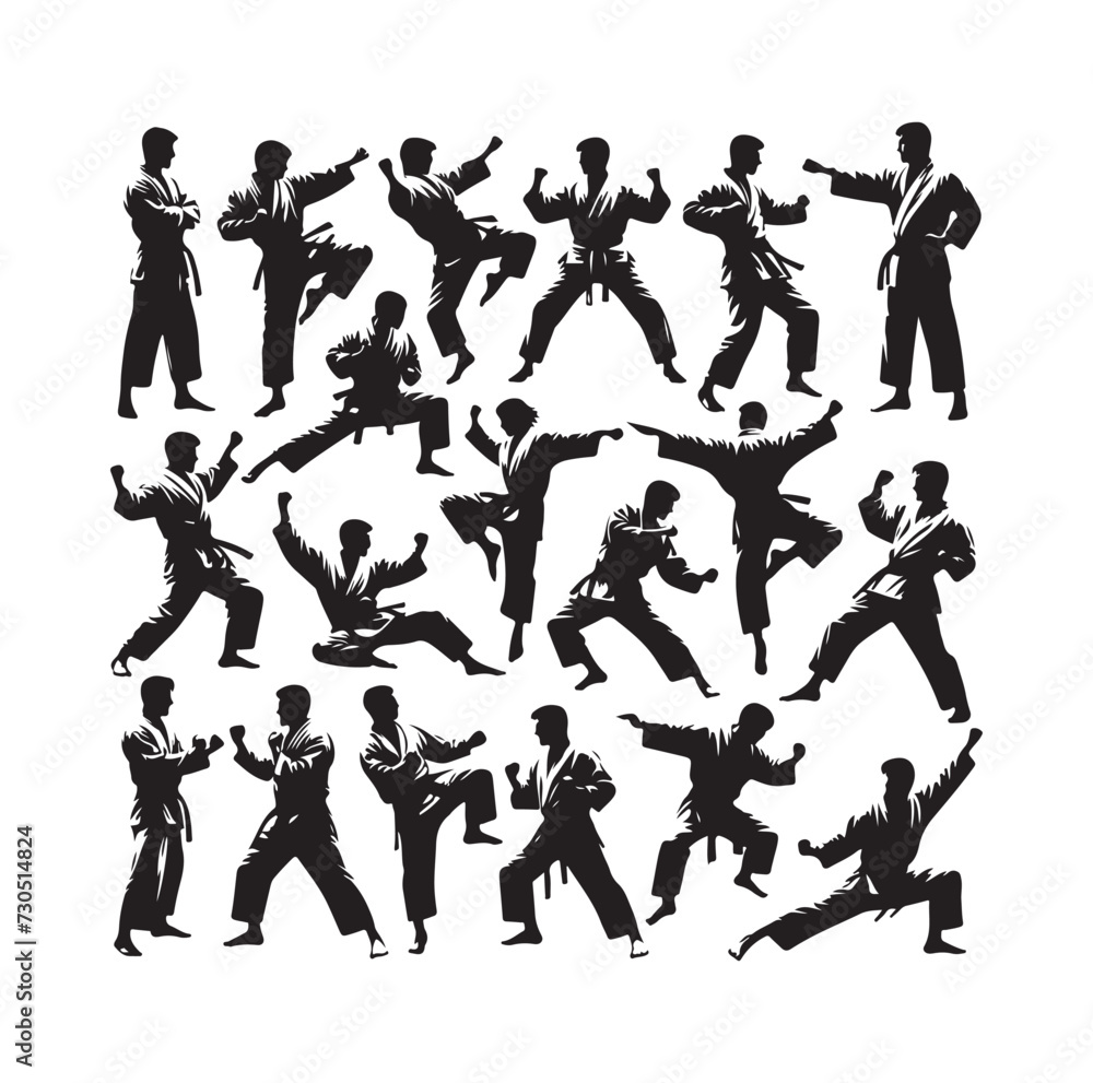 martial art Vector or karate silhouettes vector illustration Japan and ...