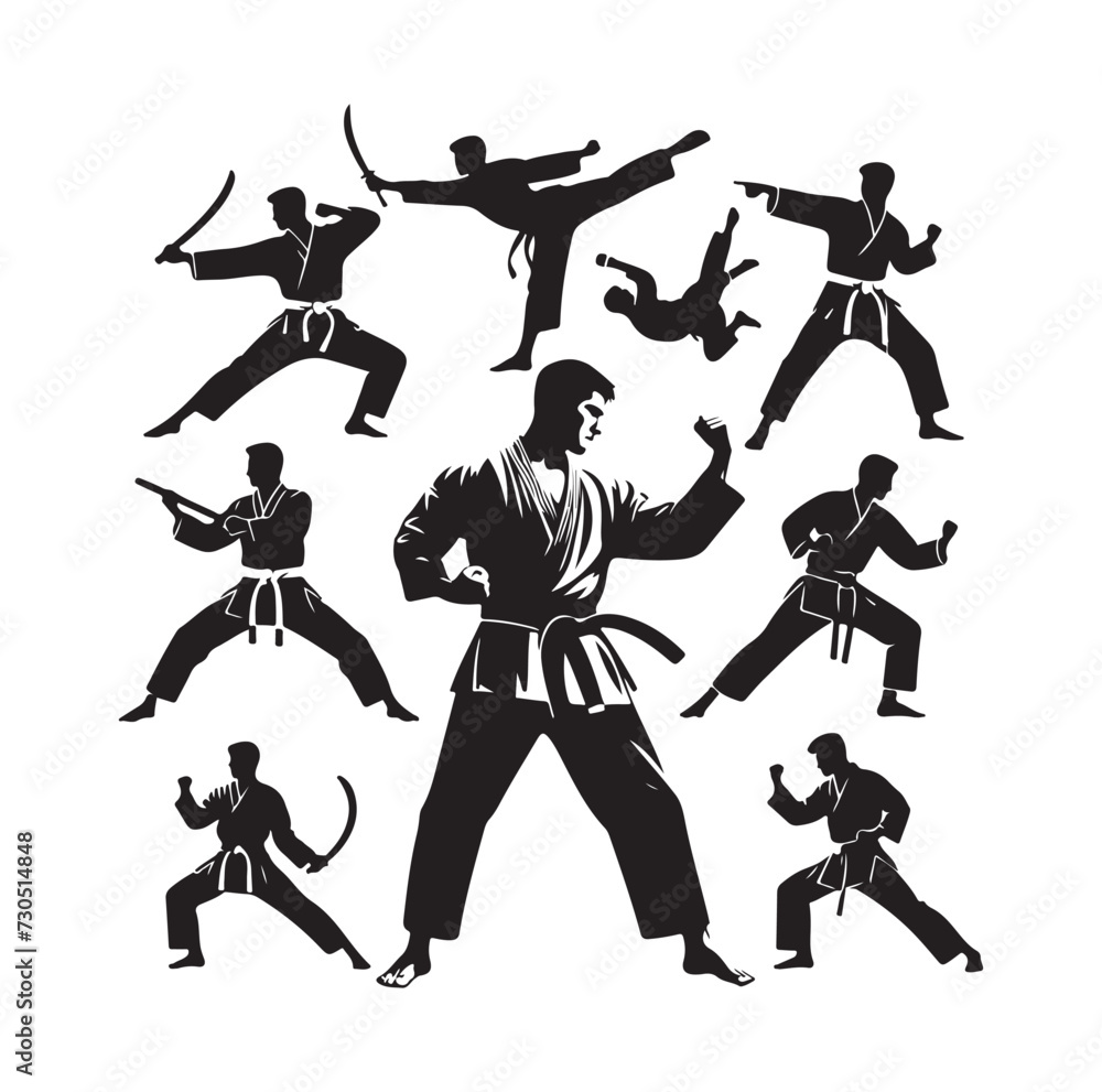 martial art Vector or karate silhouettes vector illustration Japan and ...