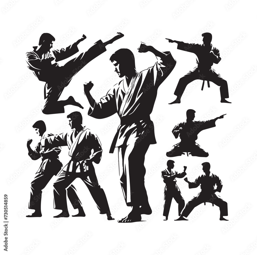 martial art Vector or karate silhouettes vector illustration Japan and ...