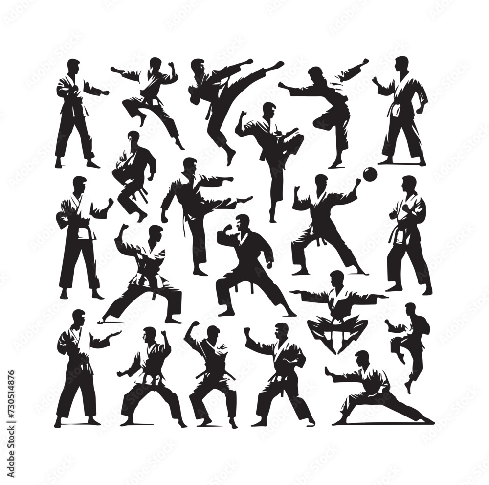 martial art Vector or karate silhouettes vector illustration Japan and ...