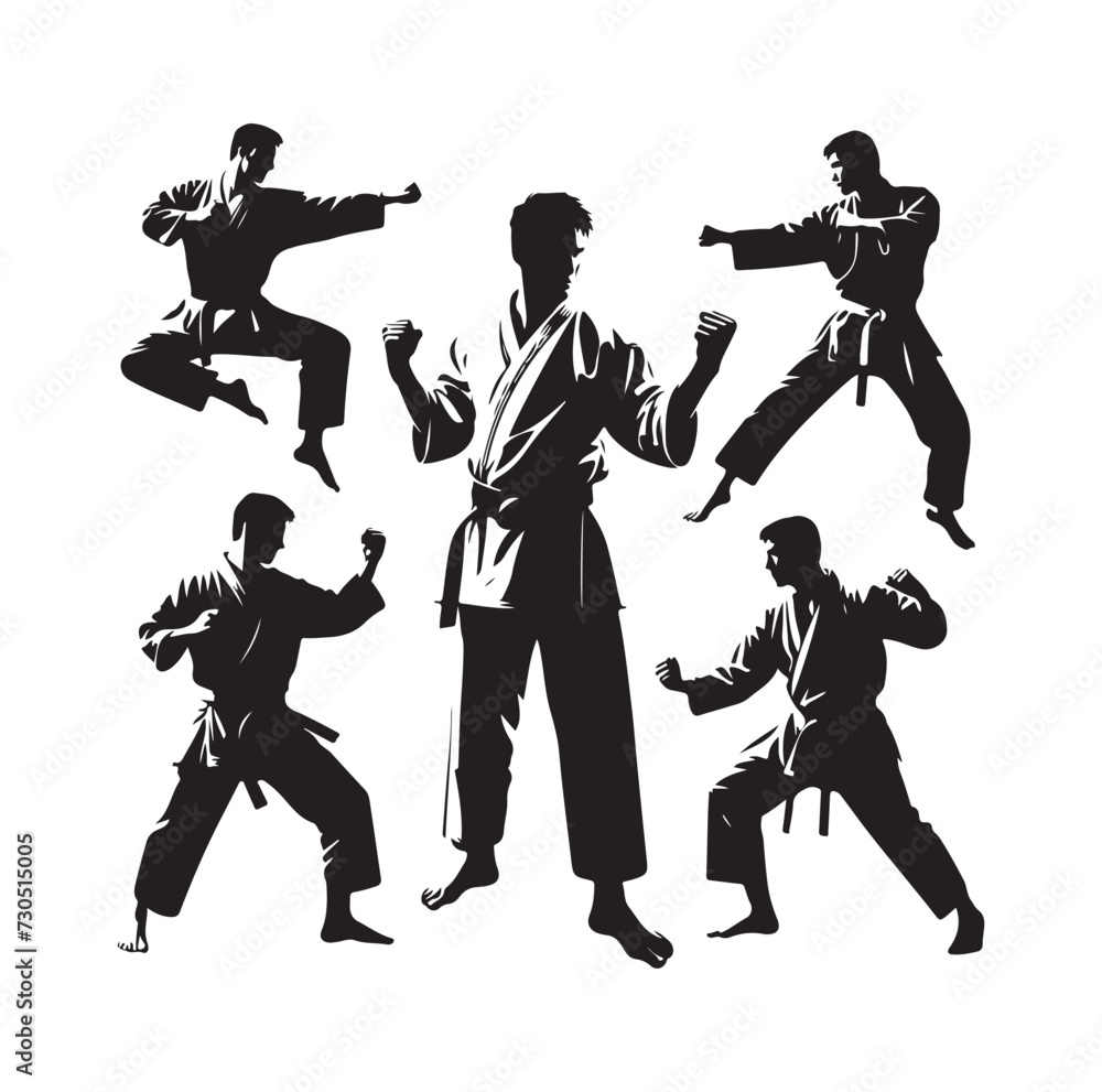 martial art Vector or karate silhouettes vector illustration Japan and ...