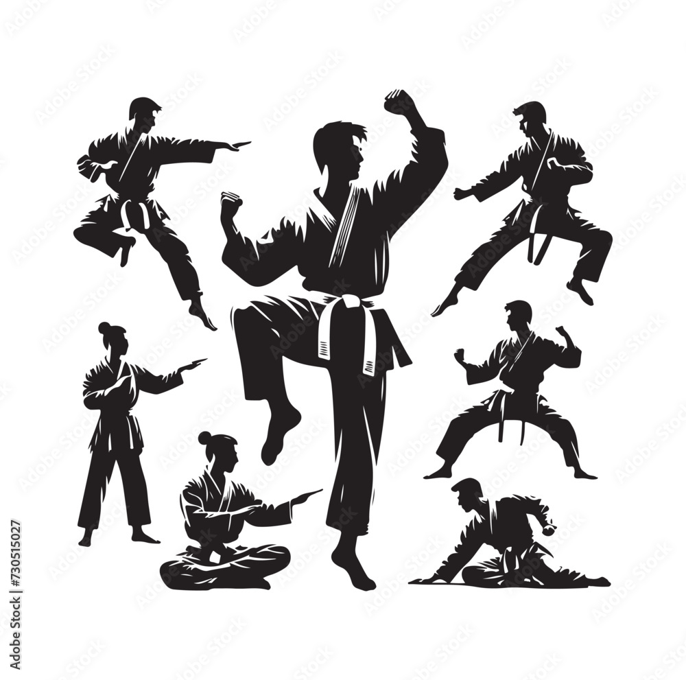 Stock-Vektorgrafik „martial art Vector or karate silhouettes vector ...