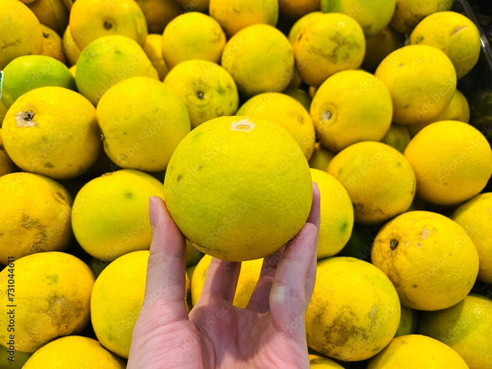 Hand Holding lemons in the market Local Fresh Lemon at market and ...