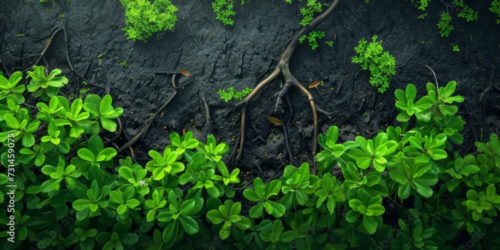 The resilience of nature in the face of environmental challenges. The ...