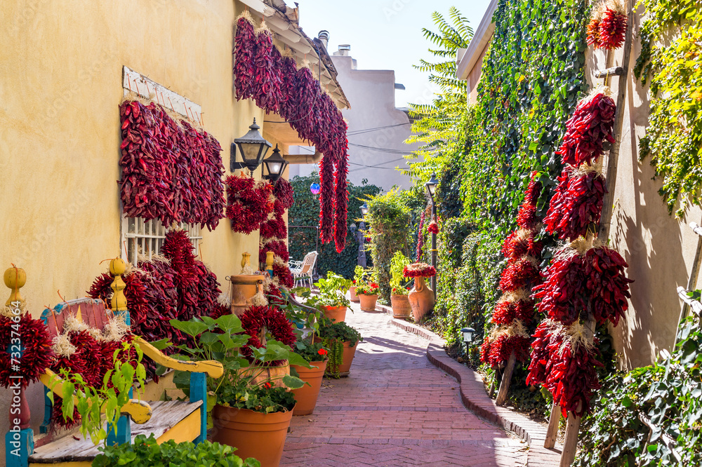 Very popular in New Mexico chile peppers are dried in a backyard in the Albuquerque Old Town ...