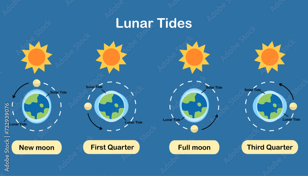 Cause of tides. Moon tides, Lunar tides. Earth’s tide cartoon ...