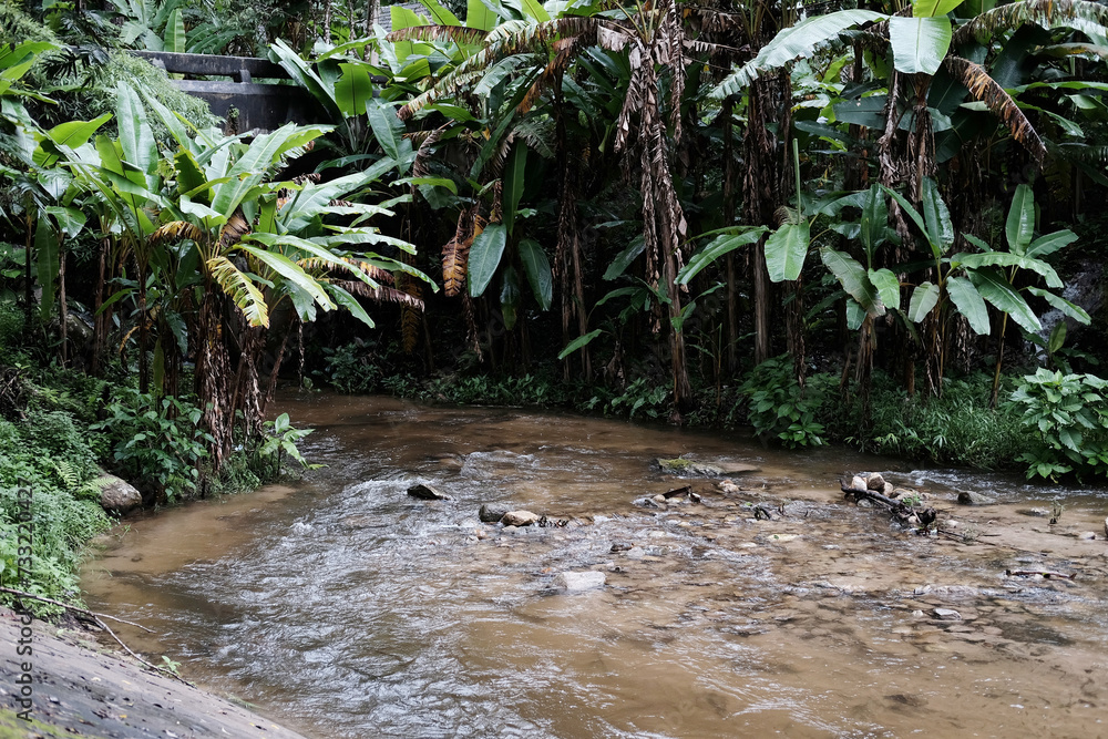 Freshness Landscape For Water Fall And Stream Flowing Through Rocks In
