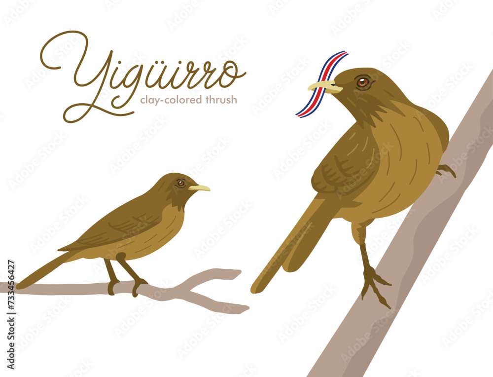 Stock-Vektorgrafik „VECTORS. The Yiguirro, also known as the clay ...