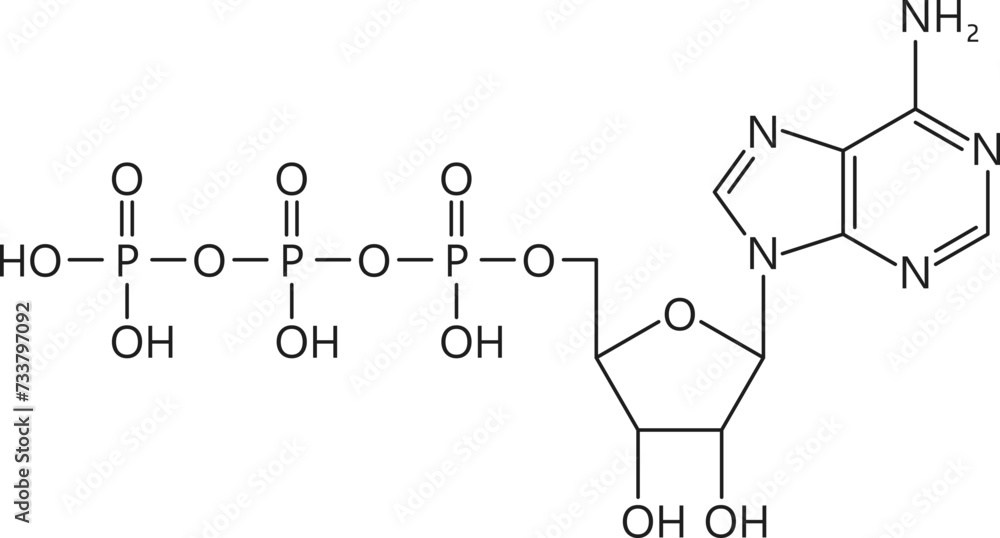 Image vectorielle Stock Neurotransmitter, adenosine triphosphate ...