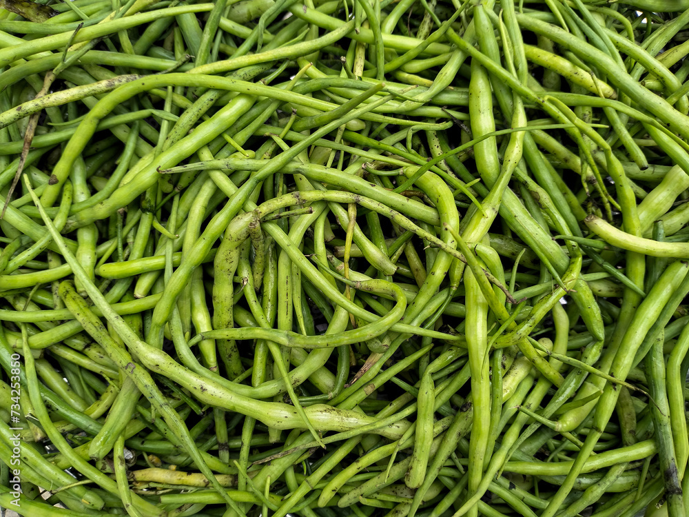 Stockfoto Heap of Radish pods, also known as "Moongra" in Hindi, are ...