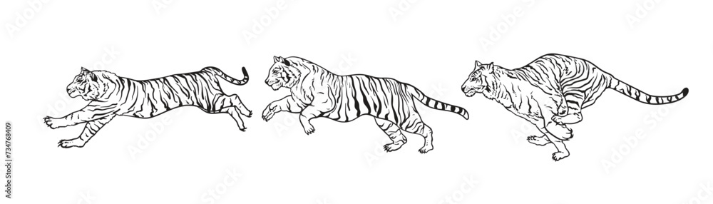 Line art drawing tiger illustration. tigers line art vector ...