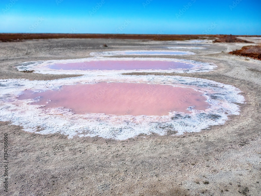 Subsidence funnels on salt marsh are filled with lakes of diverse ...