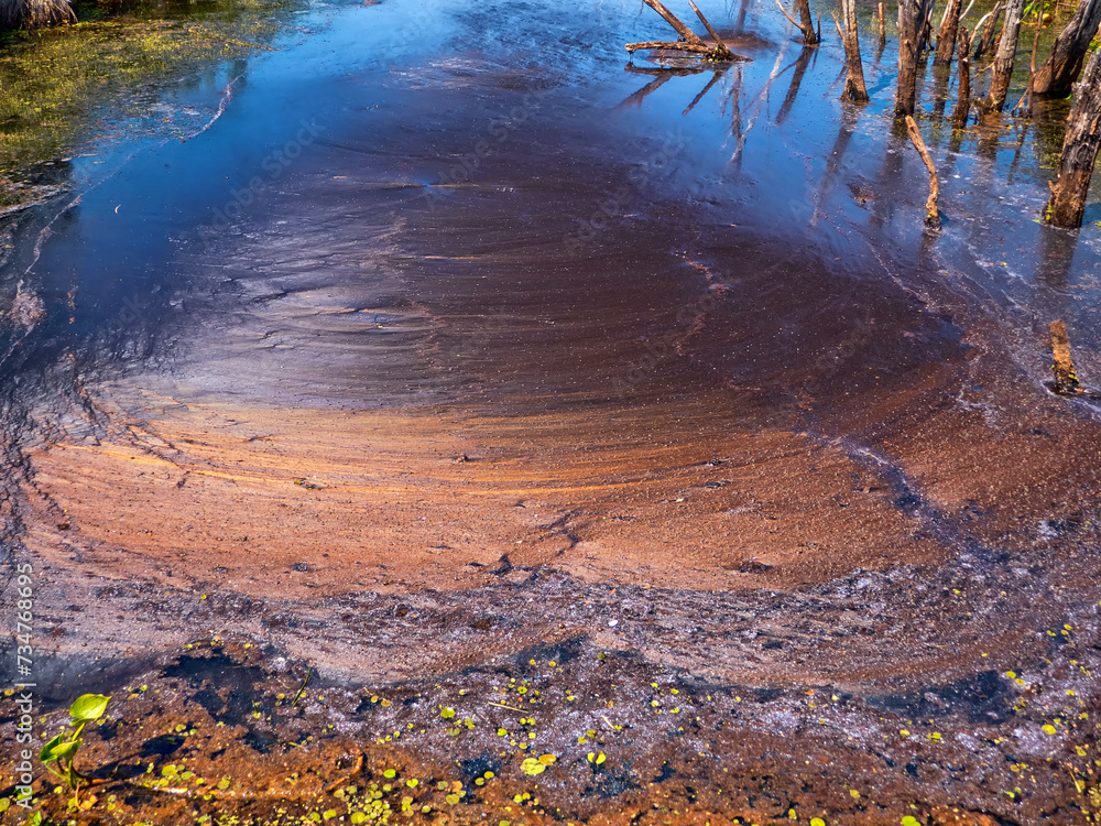 Heavily polluted water, surface biofilm, bacterial tuft. Blue-green ...